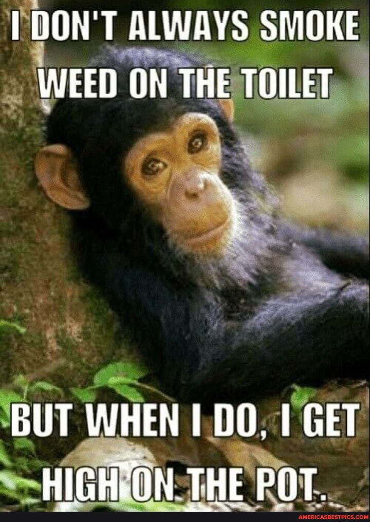 DON'T ALWAYS SMOKE WEED ON THE TOILET BUT WHEN I DO. I GET HIGHSON THE ...