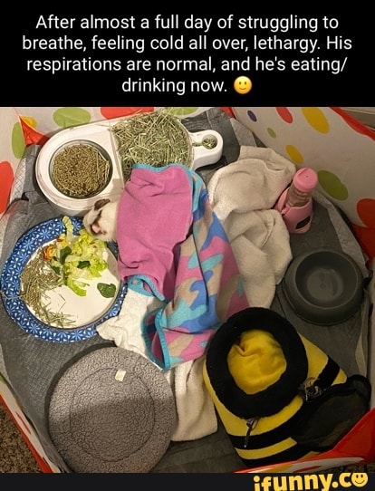 Respirations memes. Best Collection of funny Respirations pictures on ...