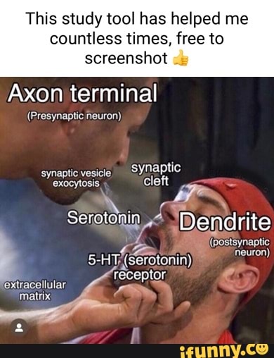 Exocytosis memes. Best Collection of funny Exocytosis pictures on iFunny