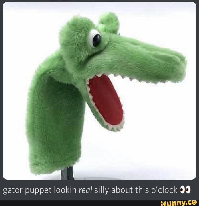Gator puppet lookin real silly about this o'clock 99 - iFunny