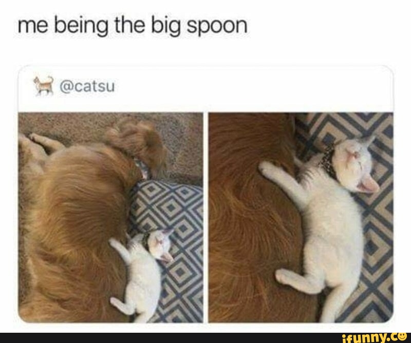 Spooning memes. Best Collection of funny Spooning pictures on iFunny