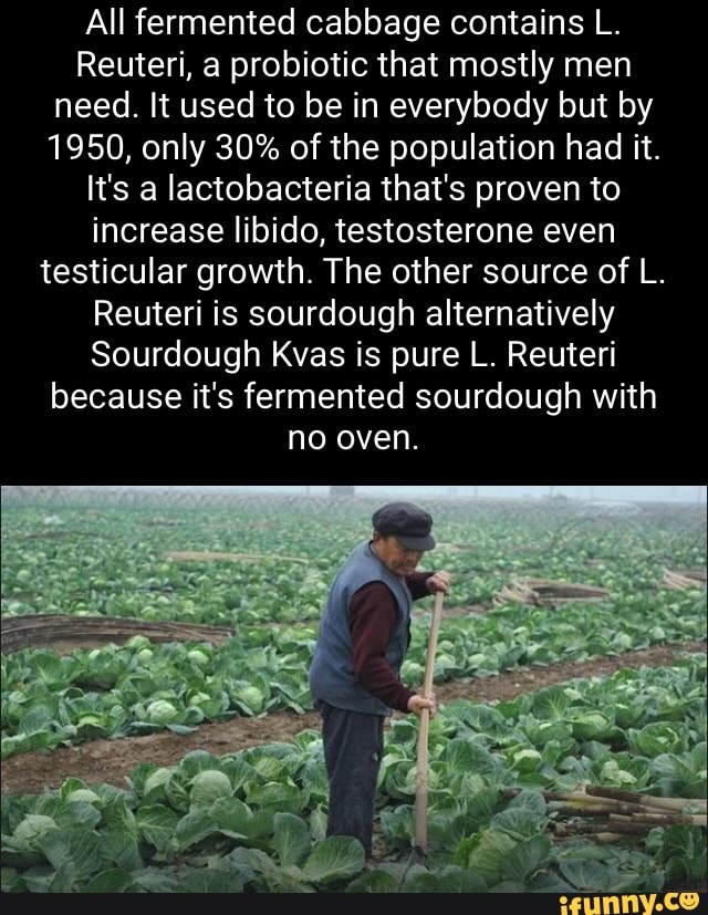 Lactobacteria memes. Best Collection of funny Lactobacteria pictures on ...