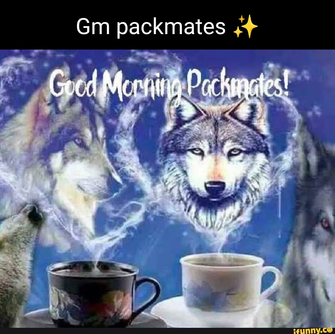 Wolves memes. Best Collection of funny Wolves pictures on iFunny