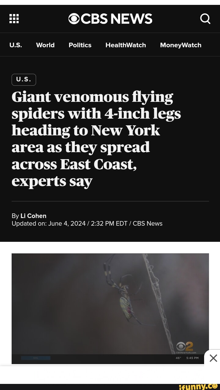 Spiders memes. Best Collection of funny Spiders pictures on iFunny