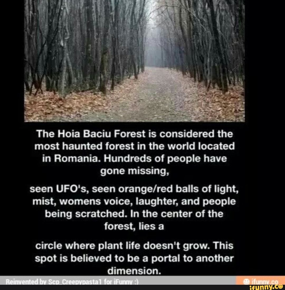 The Hoia Baciu Forest is considered the most haunted forest in the ...