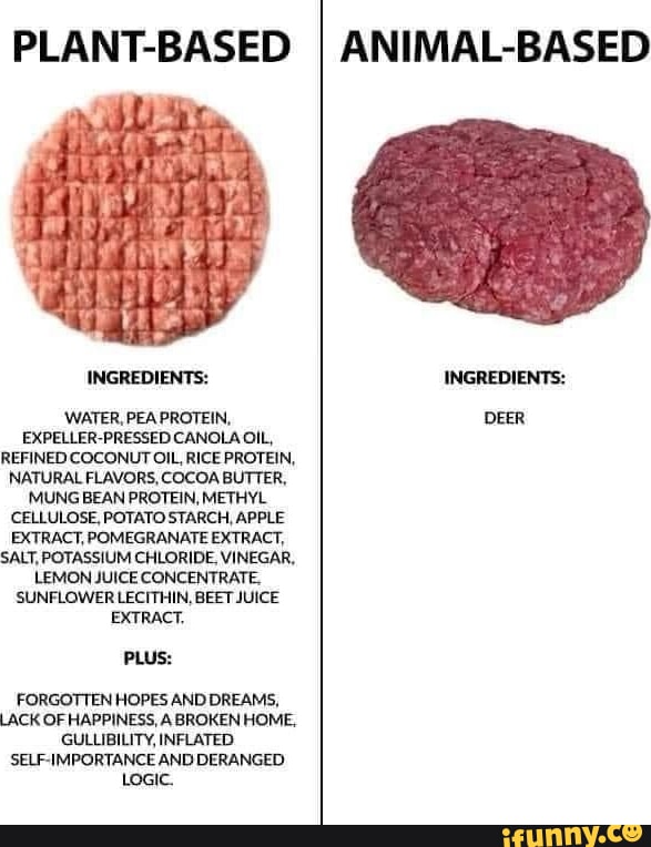 Cellulose memes. Best Collection of funny Cellulose pictures on iFunny