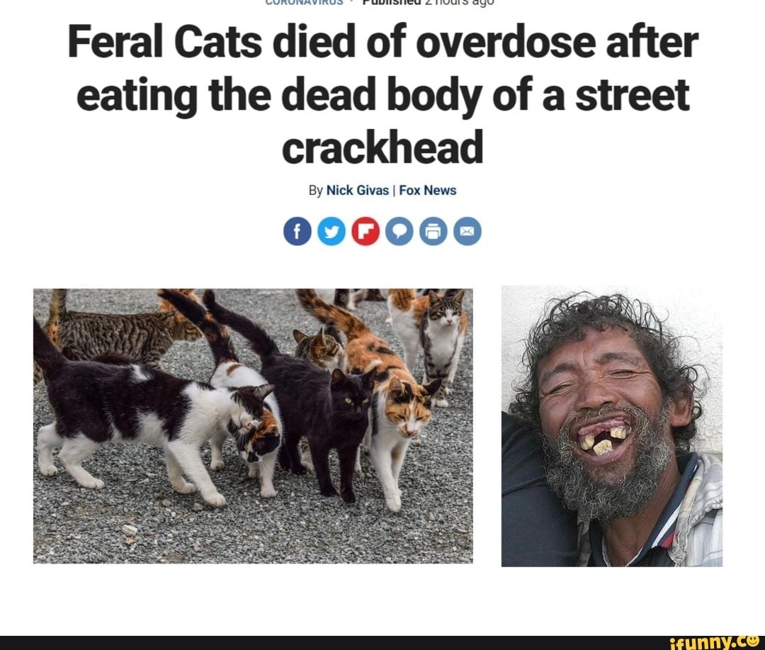 Givas memes. Best Collection of funny Givas pictures on iFunny