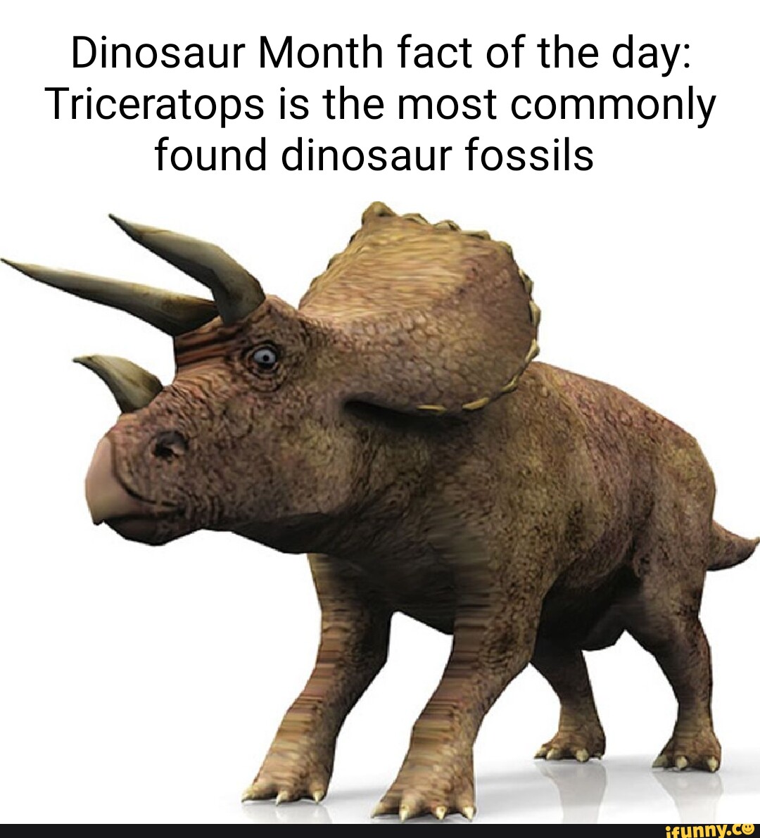 Triceratops memes. Best Collection of funny Triceratops pictures on iFunny