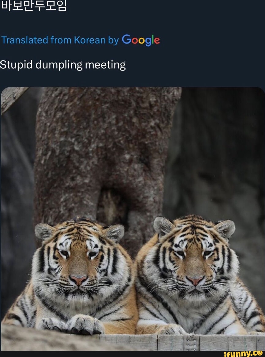 Dumpling memes. Best Collection of funny Dumpling pictures on iFunny