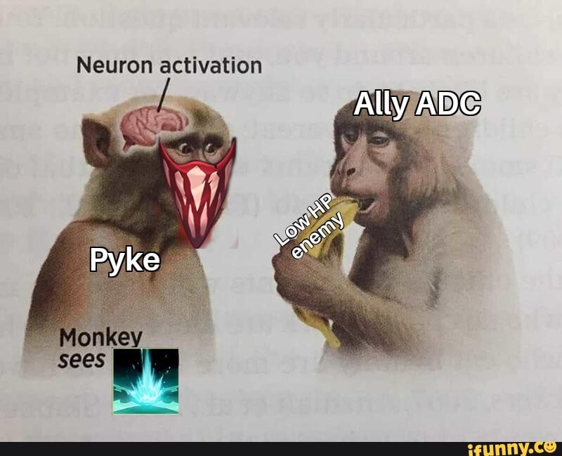 Ally ADC we Neuron activation Pyke Monkey - iFunny