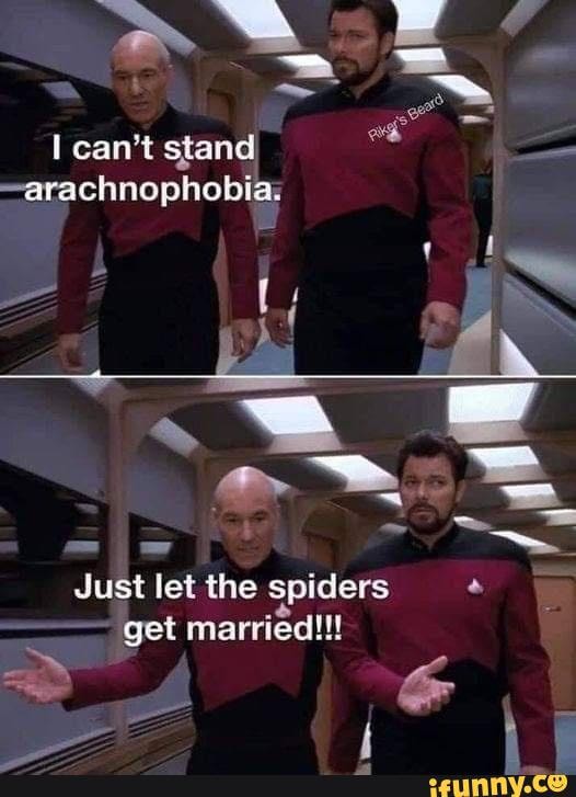 Damn right - can't stand ~arachnophobia; Just let the spiders get ...