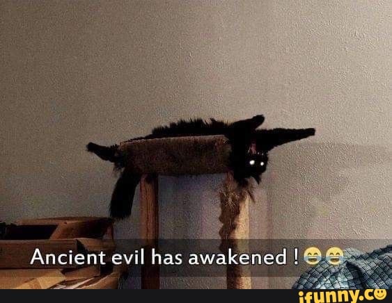 Evil_cat memes. Best Collection of funny Evil_cat pictures on iFunny