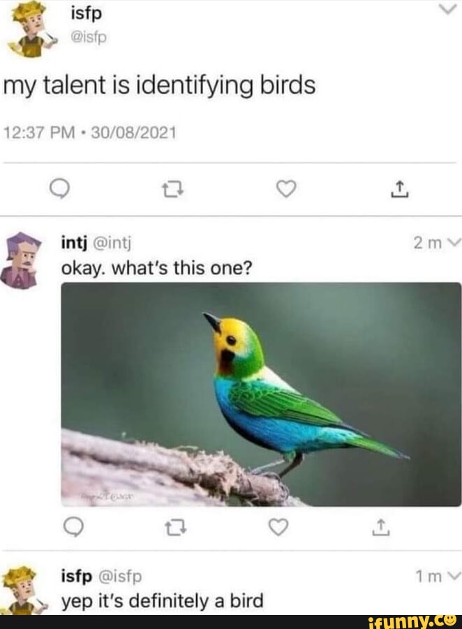 Isfp memes. Best Collection of funny Isfp pictures on iFunny