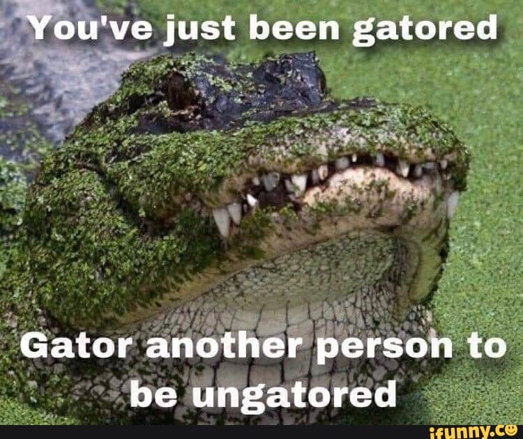 You've just been gatored Gator another person to be ungatored - iFunny