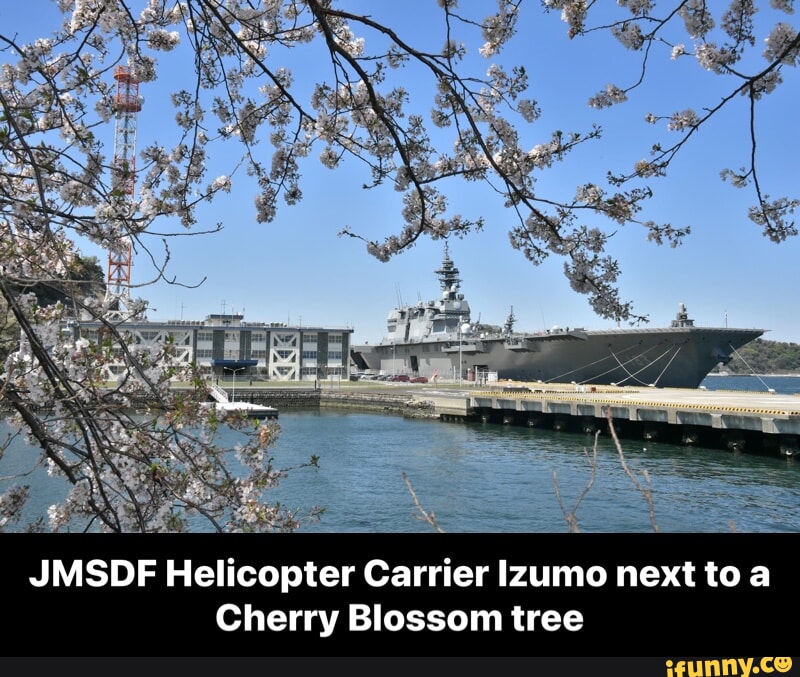 JMSDF Helicopter Carrier Izumo next to a Cherry Blossom tree JMSDF ...