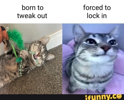 Born to forced to tweak out lock in - iFunny