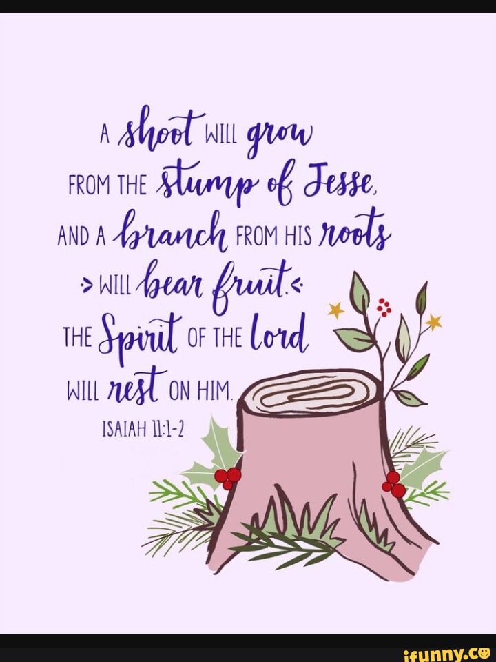 Owi memes. Best Collection of funny Owi pictures on iFunny