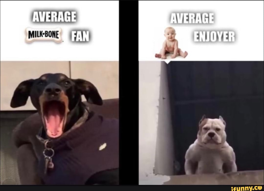 AVERAGE AVERAGE MILK-BONE FAN] ENJOYER - iFunny