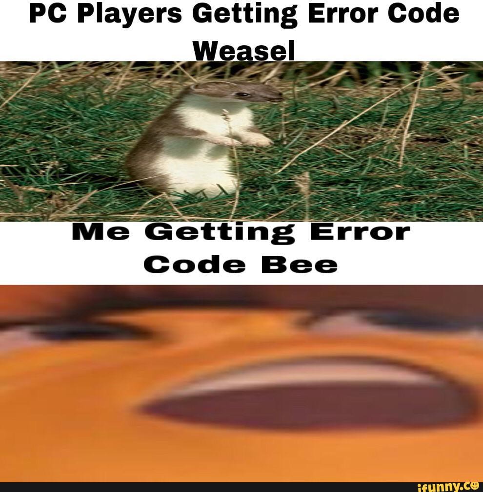 Bee memes. Best Collection of funny Bee pictures on iFunny