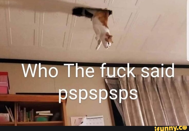 Pspspsps memes. Best Collection of funny Pspspsps pictures on iFunny