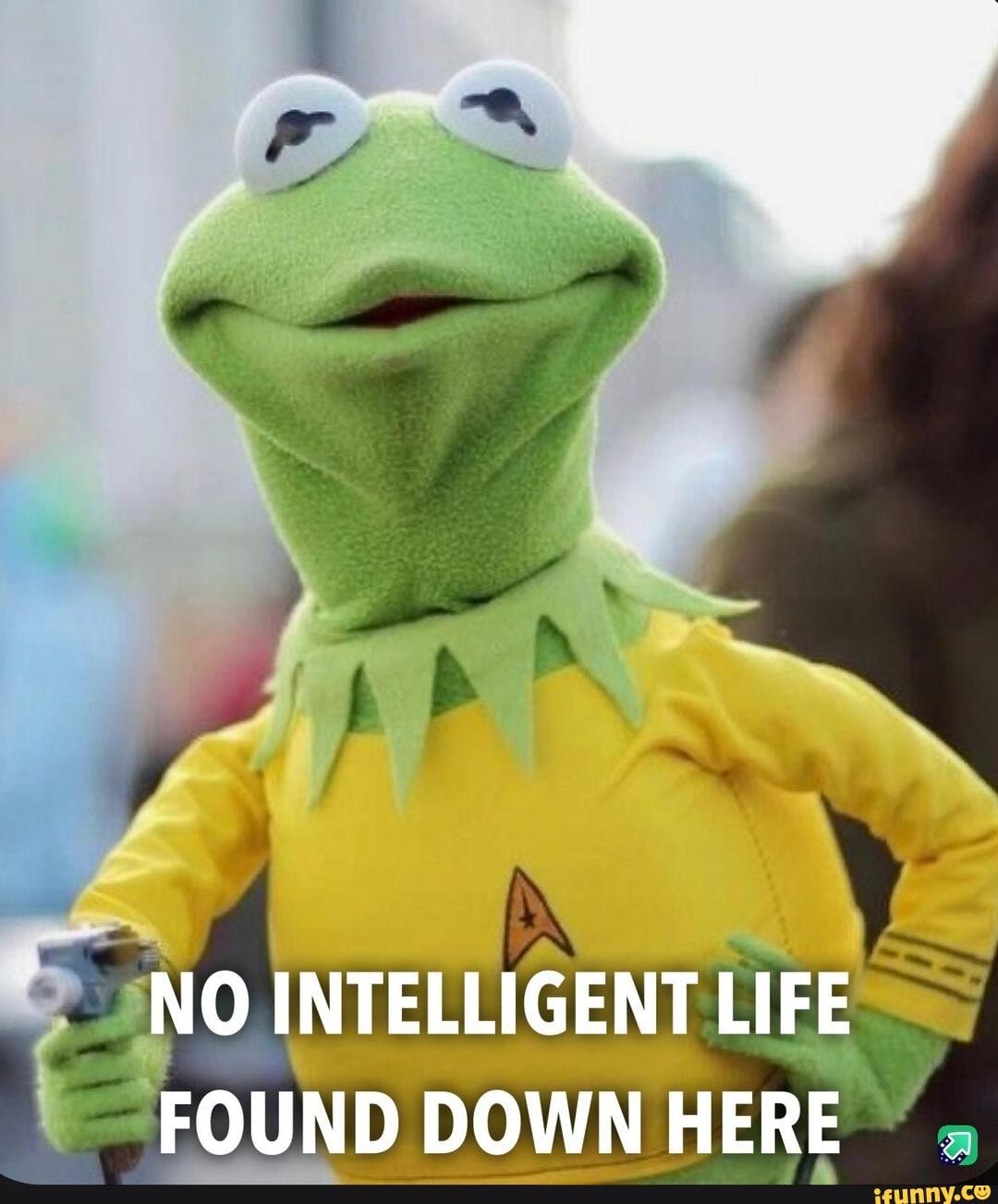 but that’s none of my business - NO INTELLIGENT LIFE FOUND DOWN HERE ...