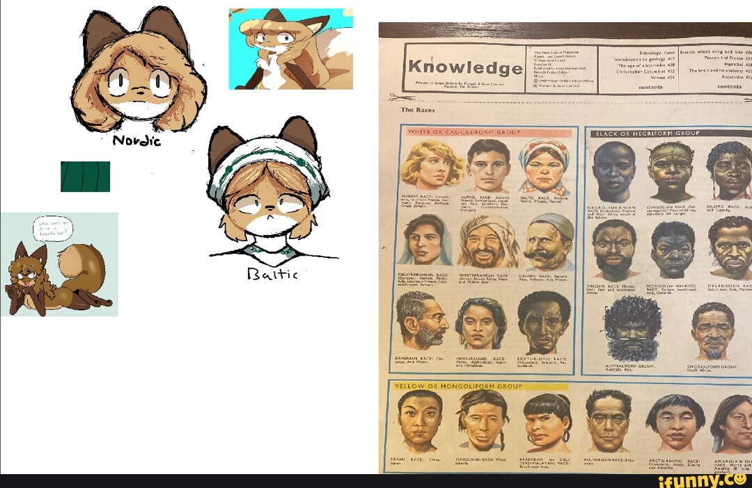 Fiddle memes. Best Collection of funny Fiddle pictures on iFunny