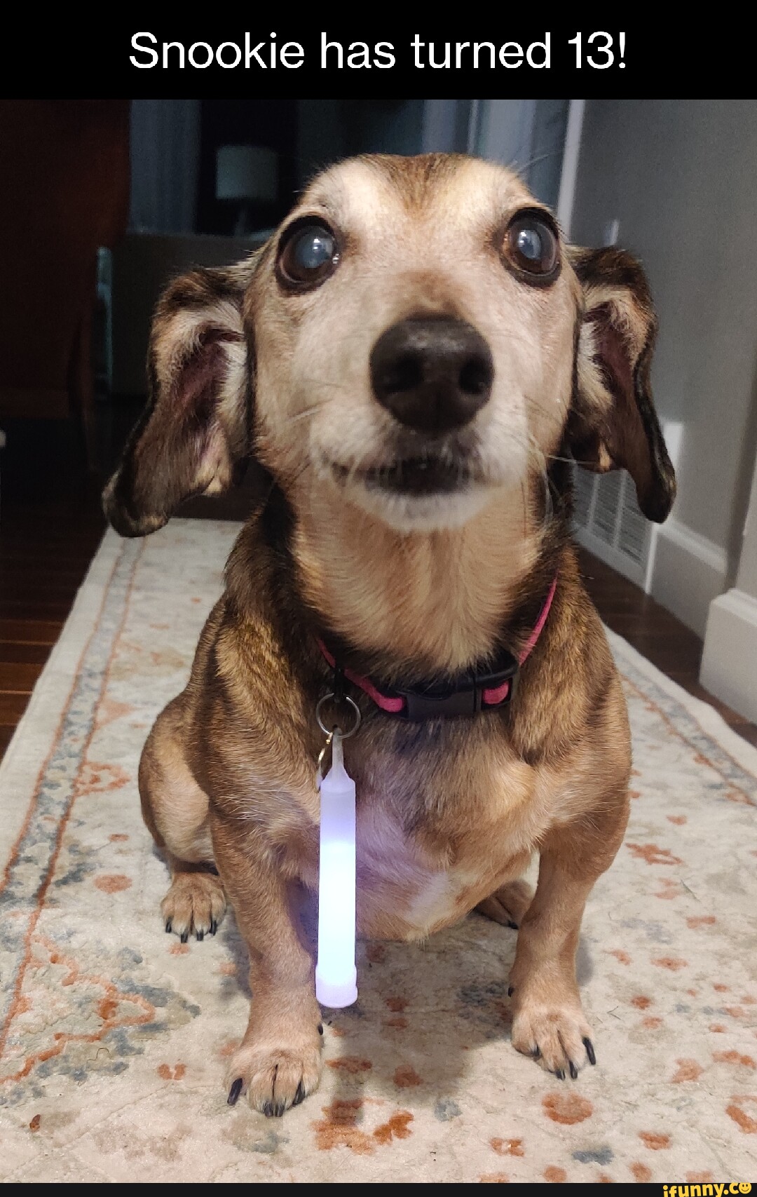 LOW NEV'HAS DRIP DOE - iFunny