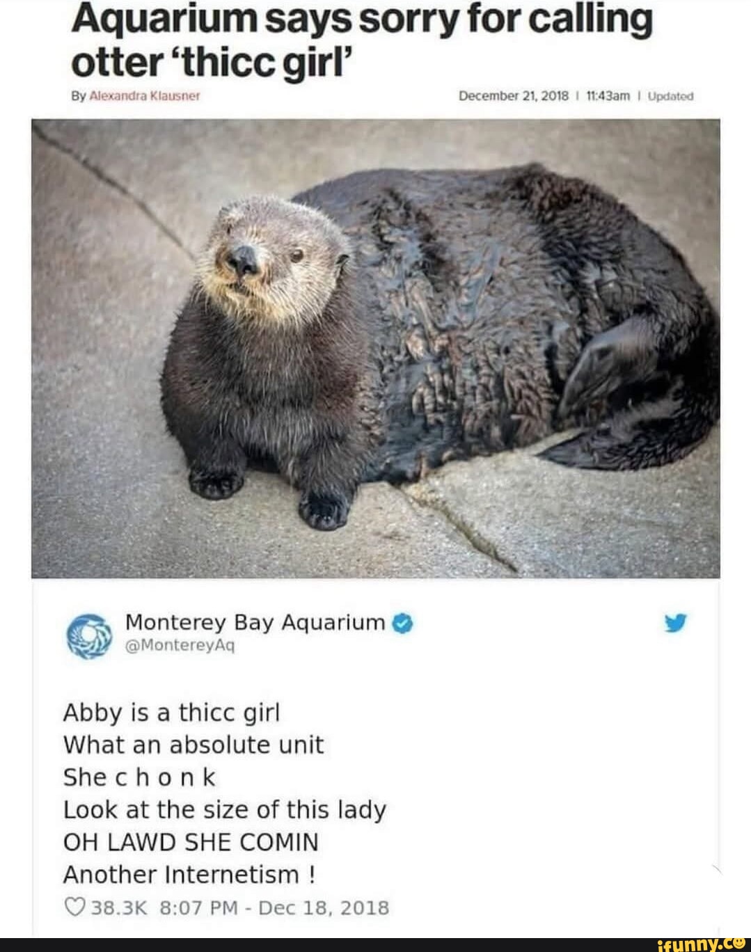 Aquarium says sorry for calling otter 'thicc girl' By Alexandra Klausner December 21, 2018 I ...