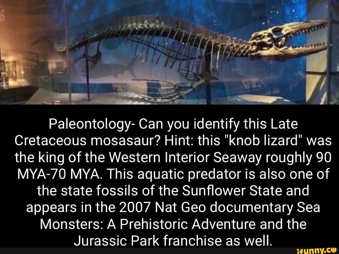 Mosasaur memes. Best Collection of funny Mosasaur pictures on iFunny