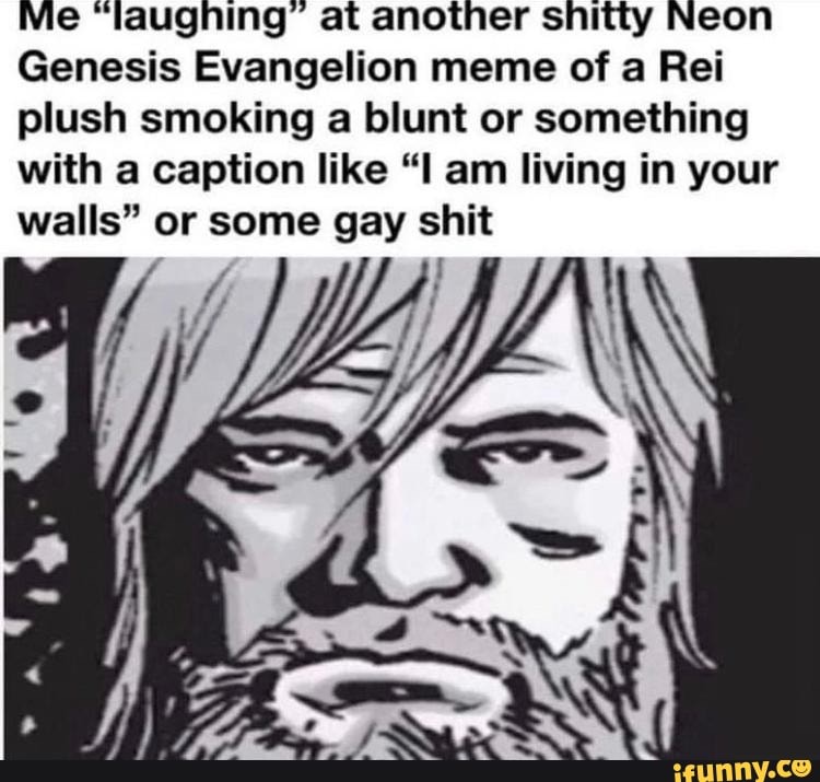 Me "laughing" at another shitty Neon Genesis Evangelion meme of a Rei ...