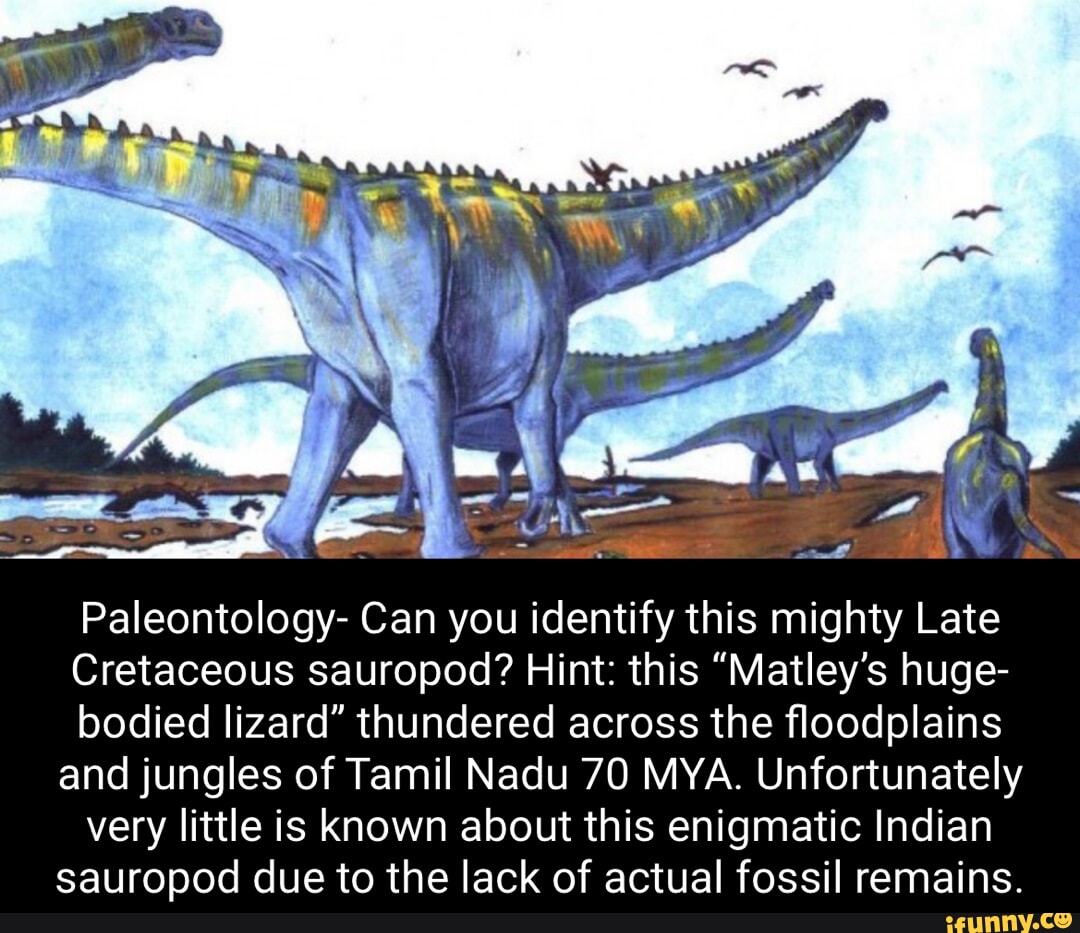 Paleontology- Can you identify this mighty Late Cretaceous sauropod ...