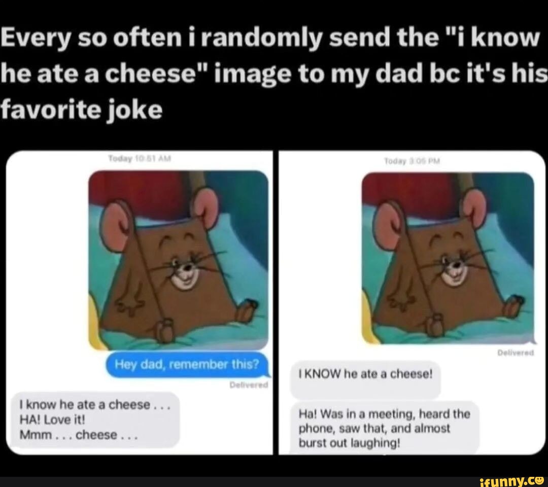 Every so often i randomly send the "i know he ate a cheese" image to my ...