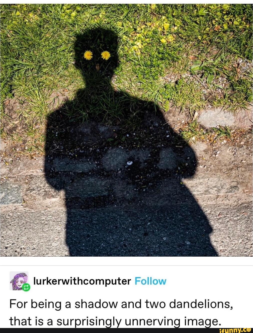 Lurkerwithcompucer Follow For being a shadow and two dandelions, that ...