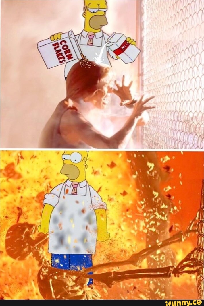 Homer can't even Sarah Connor - iFunny