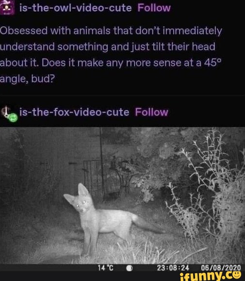 Angle memes. Best Collection of funny Angle pictures on iFunny