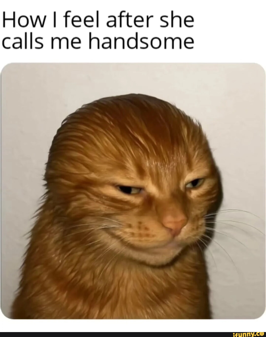 iFunny - the best memes, video, gifs and funny pics in one place