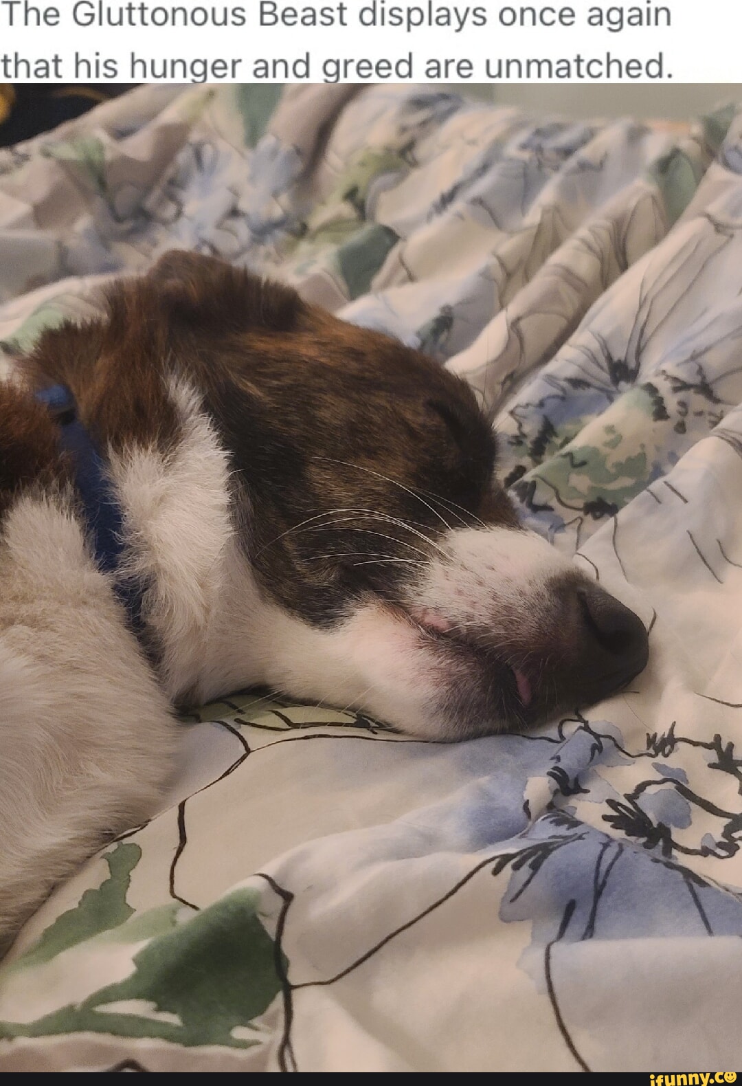 The Gluttonous Beast displays once again that his hunger and greed are ...