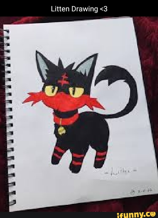 Litten memes. Best Collection of funny Litten pictures on iFunny