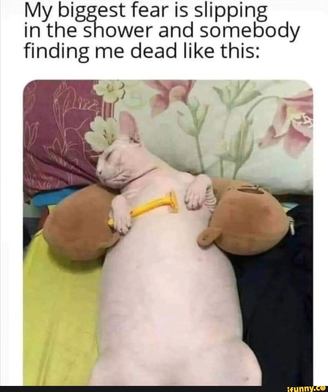 My biggest fear is slipping in the shower and somebody finding me dead ...