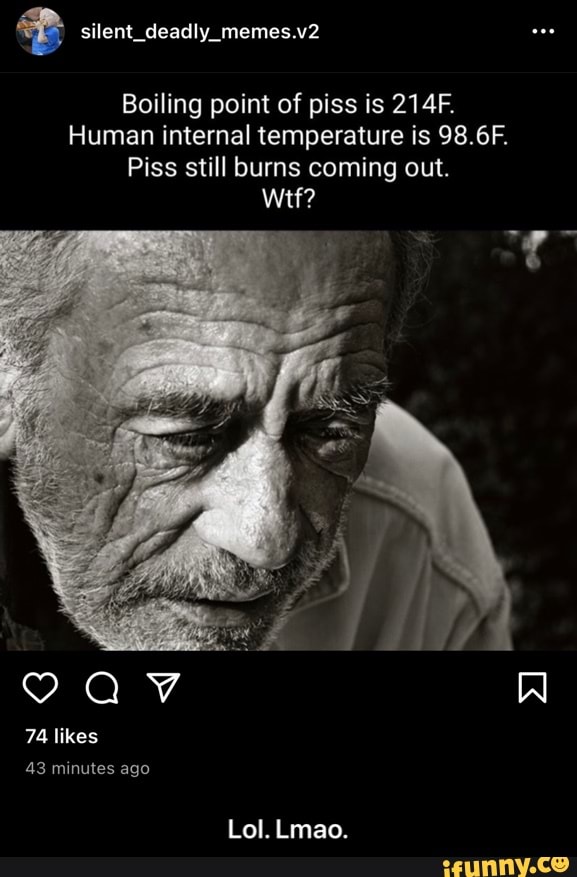 Silent_deadly_memes.v2 Boiling point of piss is 214F. Human internal ...
