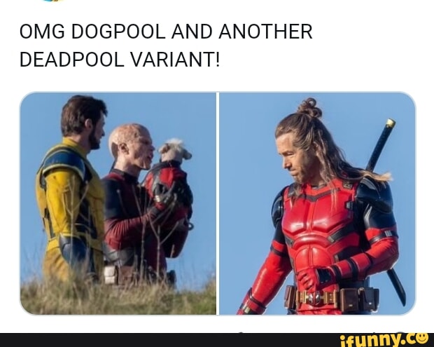 Dogpool memes. Best Collection of funny Dogpool pictures on iFunny