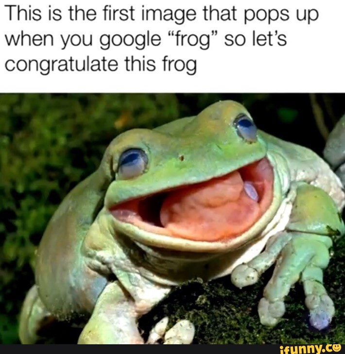 Congrats... 😜 - This is the first image that pops up when you google ...