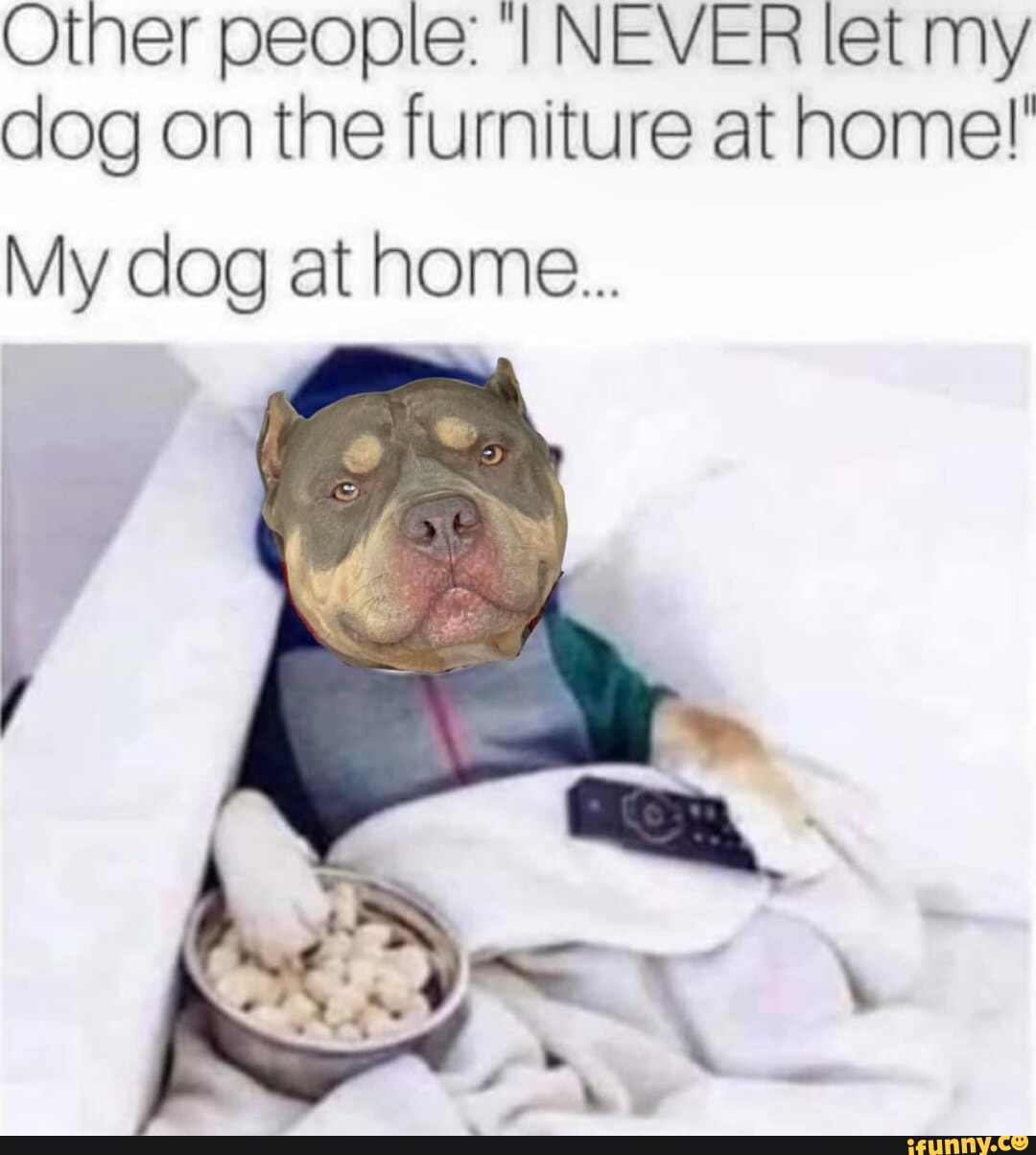 Picture memes j3QOpeNf6 by sulfurousatmosphere_2016: 1.0K comments - iFunny