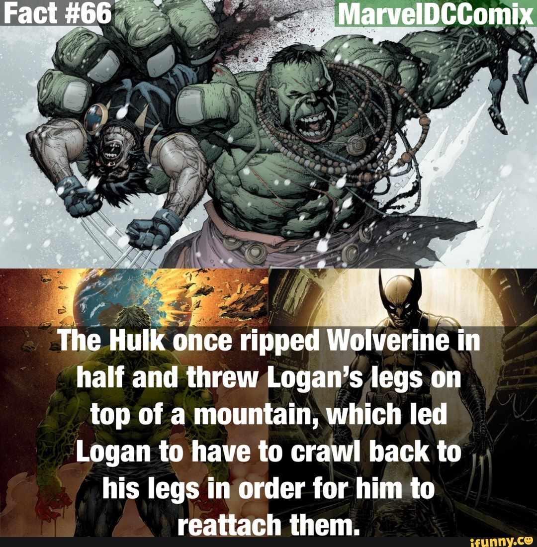 Fact #66 MarvelDCComix The Hulk once ripped Wolverine in half and threw ...