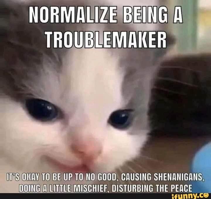 Troublemaker memes. Best Collection of funny Troublemaker pictures on ...