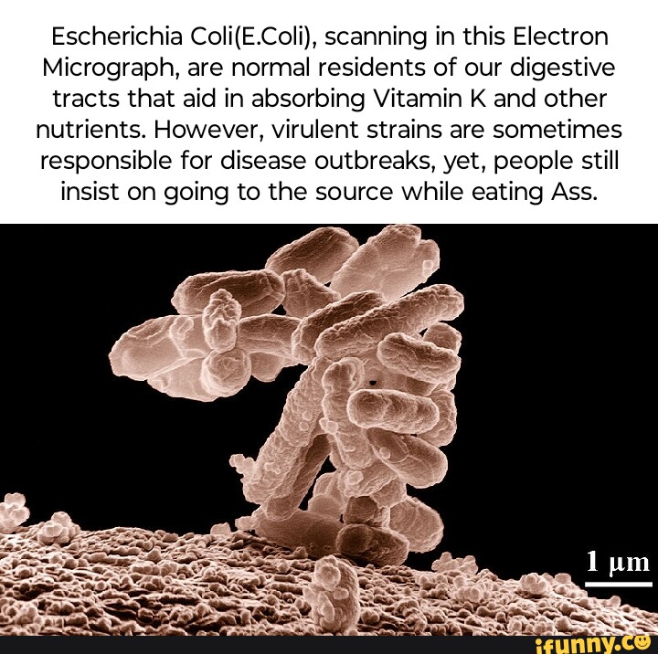 Electron memes. Best Collection of funny Electron pictures on iFunny