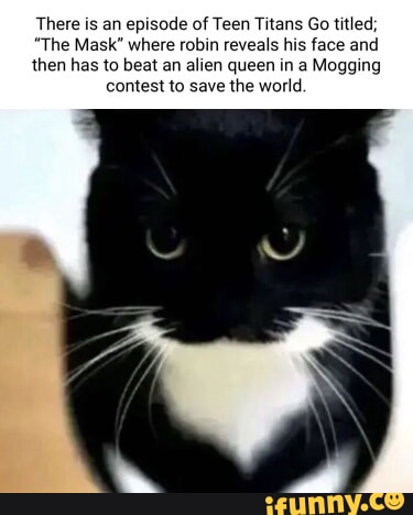 Mogging memes. Best Collection of funny Mogging pictures on iFunny