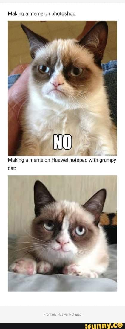 Making a meme on photoshop: Making a meme on Huawei notepad with grumpy ...