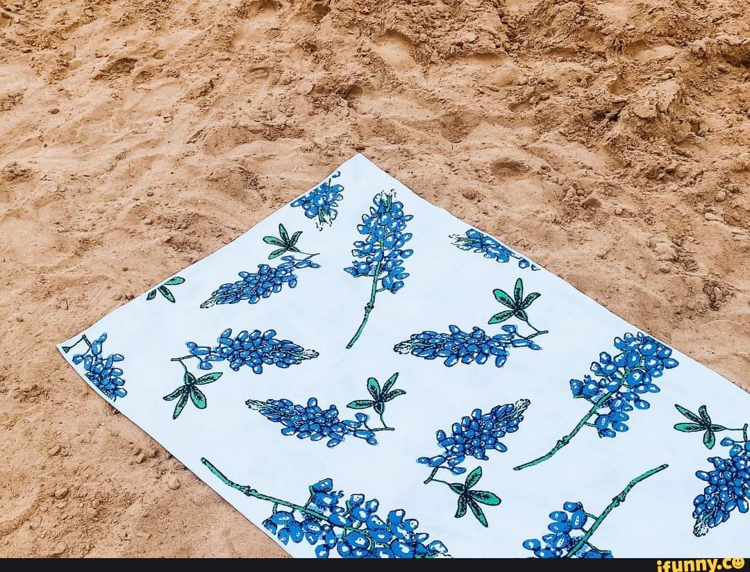 Bluebonnets memes. Best Collection of funny Bluebonnets pictures on iFunny