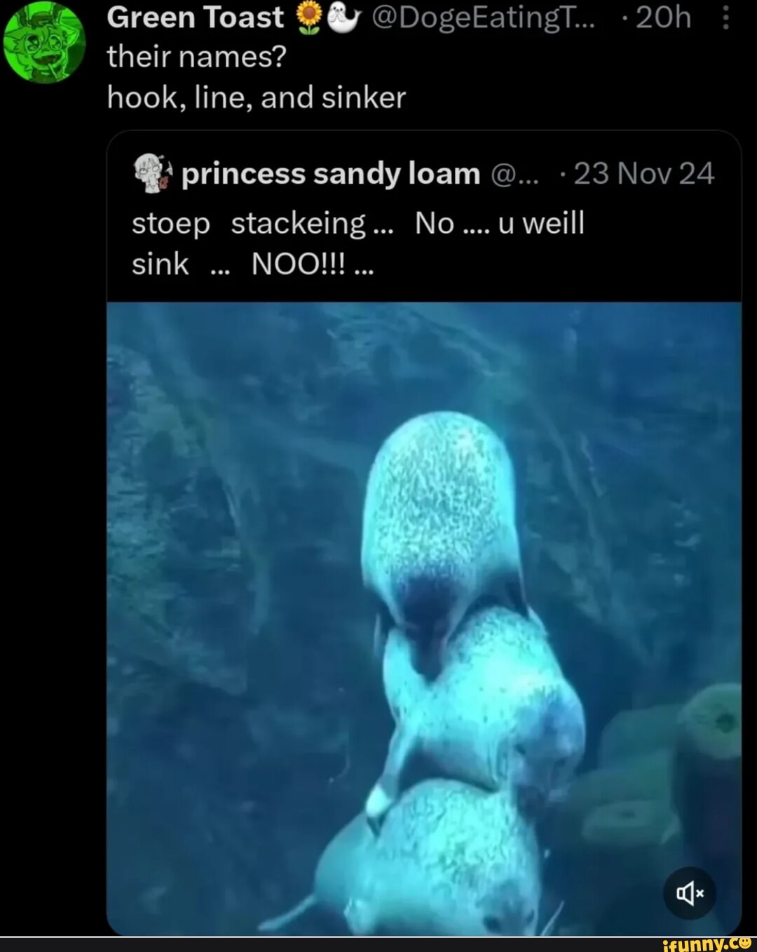 Their names? hook, line, and sinker Green Toast @ @DogeEatingT... - q ...